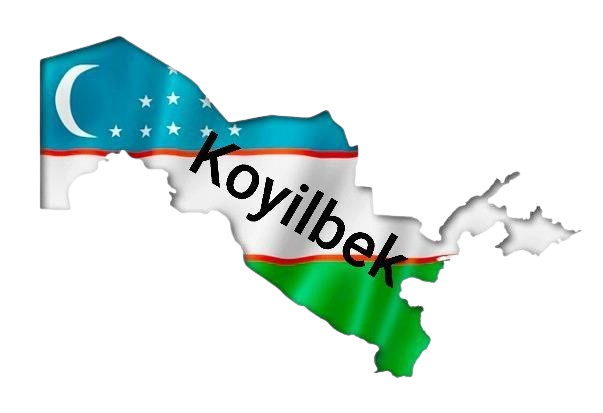 Koyiljon Valiev's Resume Koyiljon Valiev's Resume